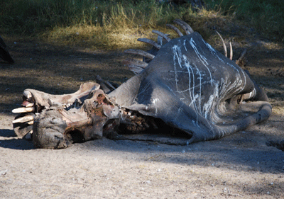 Untitled Document [chemconnections.org]