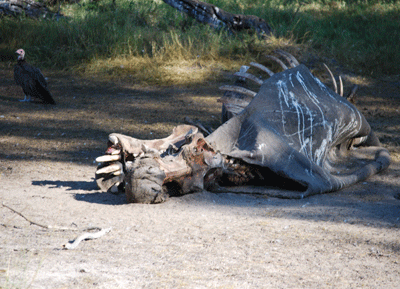 Untitled Document [chemconnections.org]